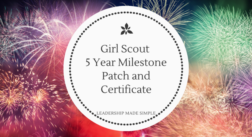 Bridging ceremony | Scout Leader