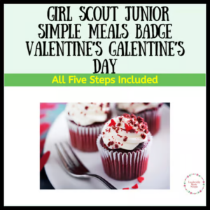 8 Girl Scout Valentine’s Day Badge Meetings – Troop Leader